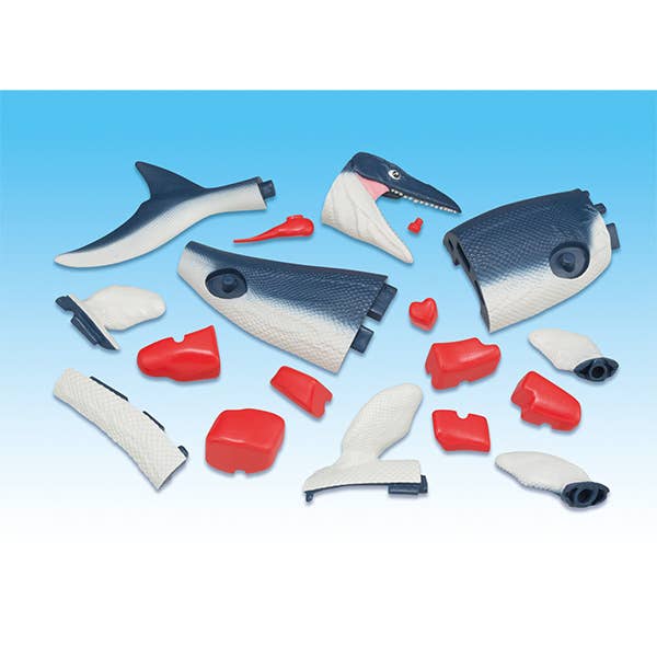 Restoration Puzzle Mosasaurus | HLJ.com