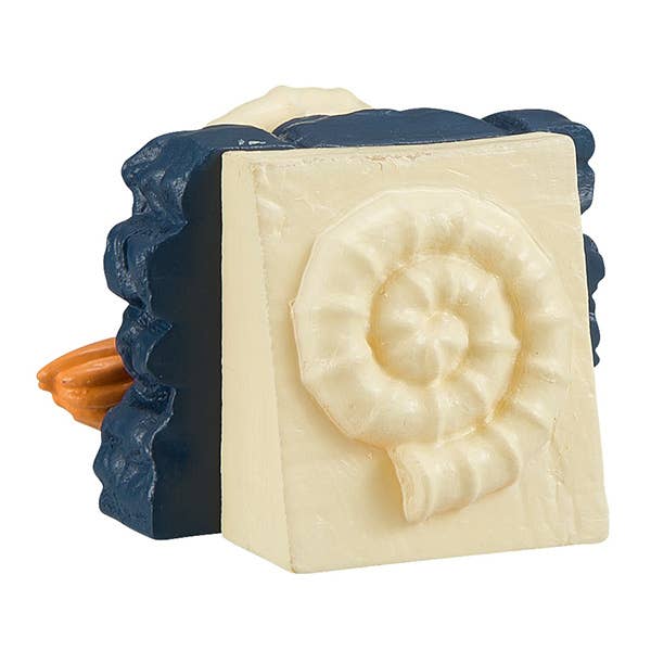 Restoration Puzzle Mosasaurus | HLJ.com