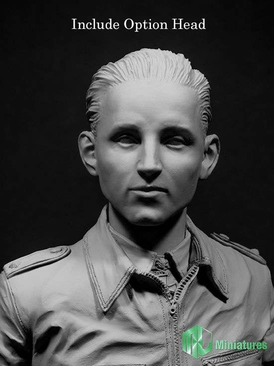 Luftwaffe Ace Pilot in WW2, 'Erich Hartmann' | HLJ.com