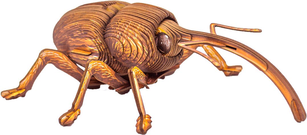 3D Kraft Paper Puzzle Weevil | HLJ.com