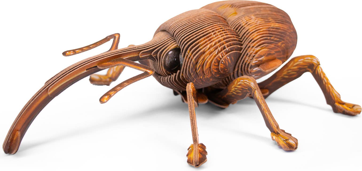 3D Kraft Paper Puzzle Weevil | HLJ.com