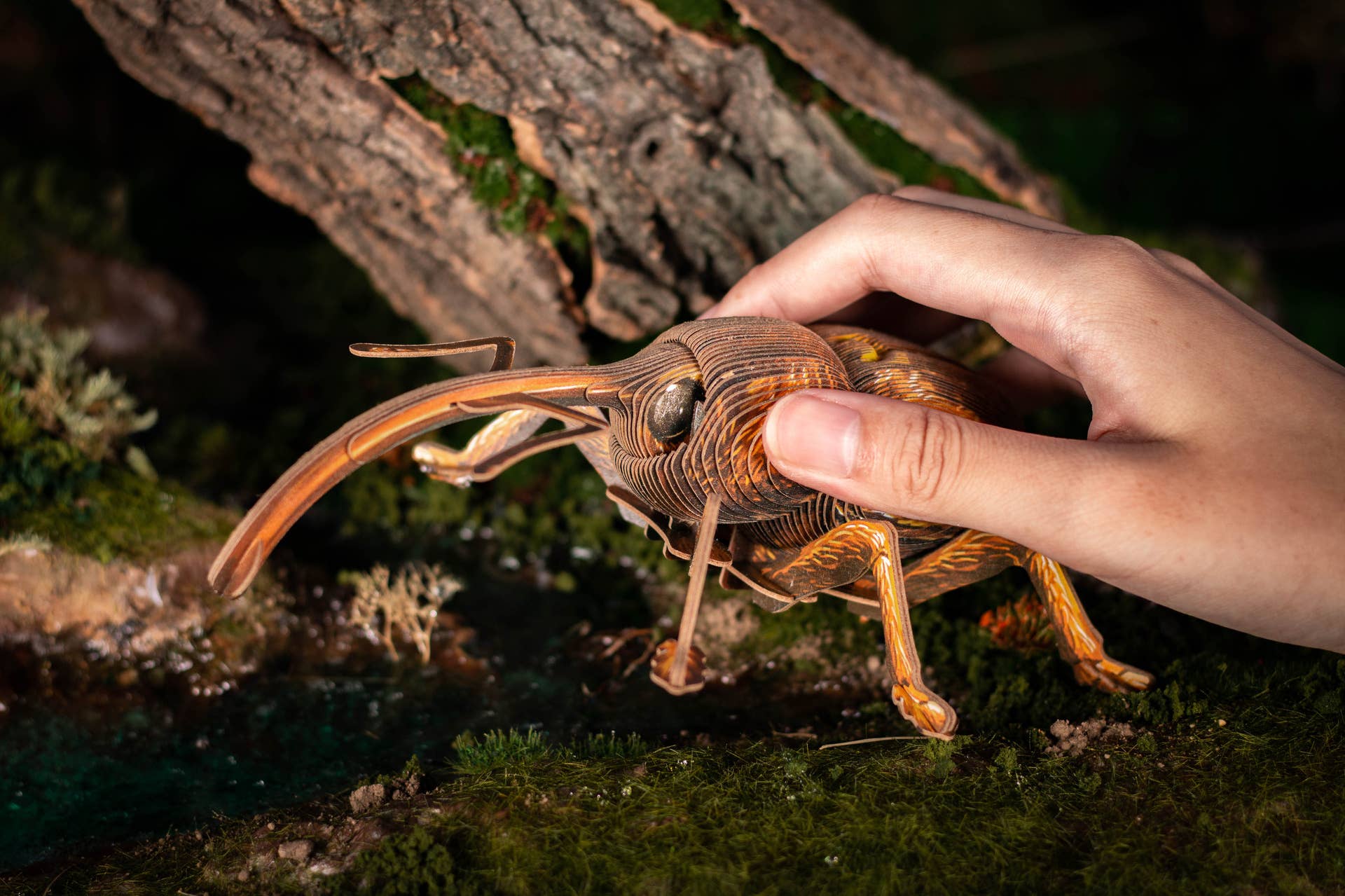 3D Kraft Paper Puzzle Weevil | HLJ.com