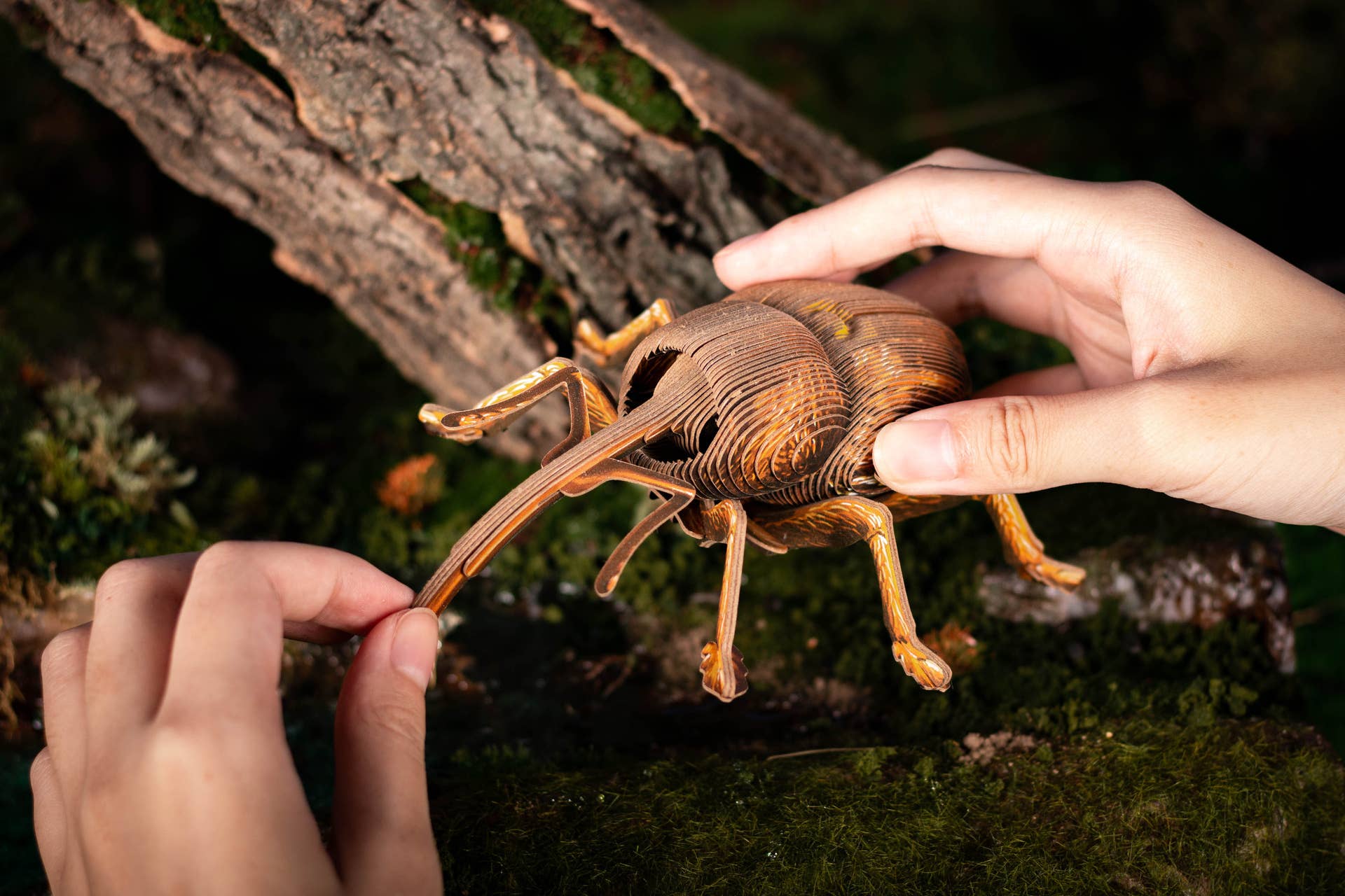 3D Kraft Paper Puzzle Weevil | HLJ.com