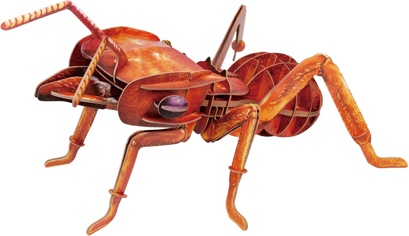3D Kraft Paper Puzzle Leafcutter Ant | HLJ.com