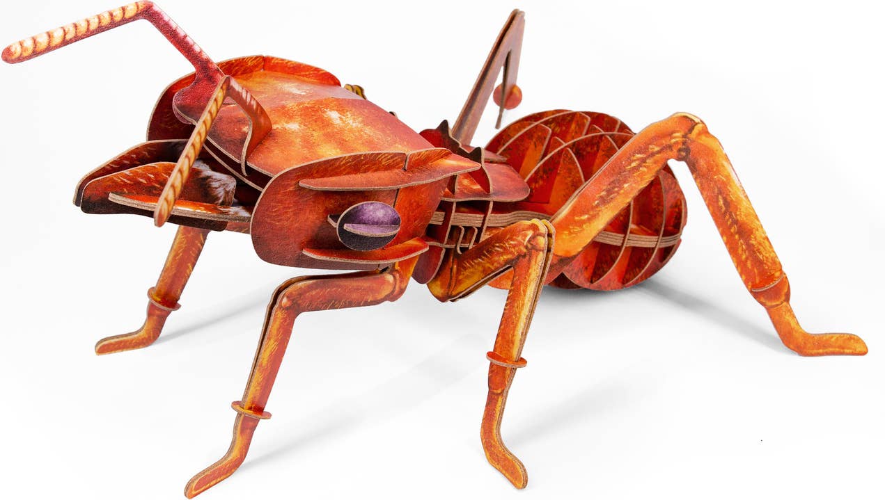 3D Kraft Paper Puzzle Leafcutter Ant | HLJ.com