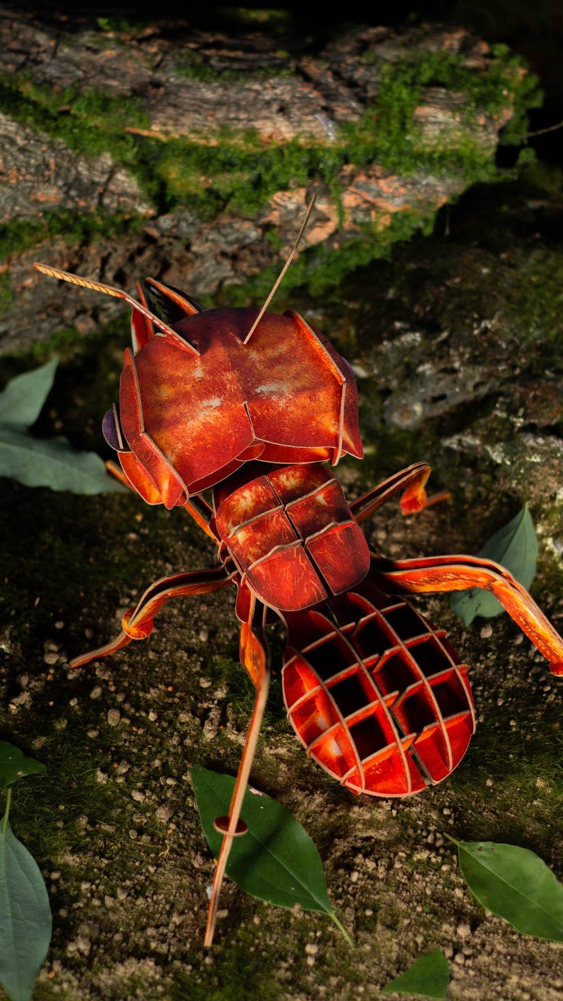 3D Kraft Paper Puzzle Leafcutter Ant | HLJ.com