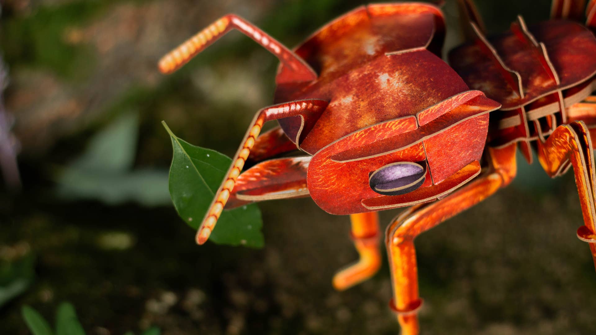 3D Kraft Paper Puzzle Leafcutter Ant | HLJ.com