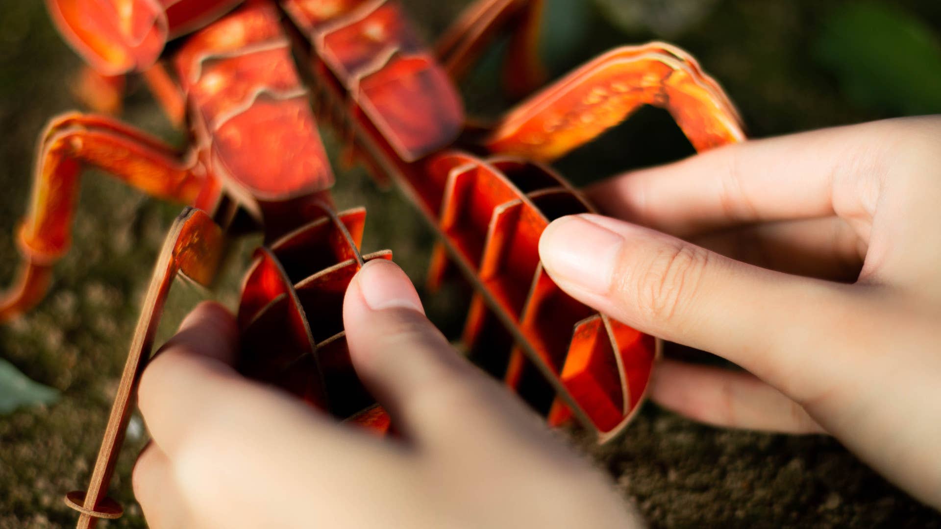 3D Kraft Paper Puzzle Leafcutter Ant | HLJ.com