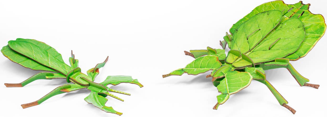 3D Kraft Paper Puzzle Leaf Insect | HLJ.com