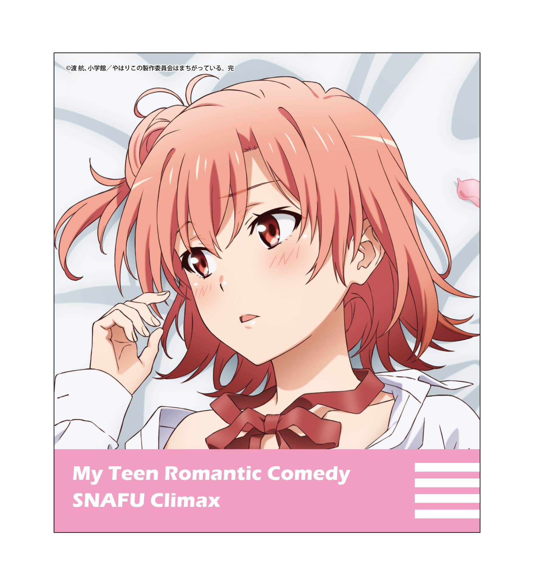 My Teen Romantic Comedy SNAFU Final Drawn By Trading Mini Shikishi Vol ...
