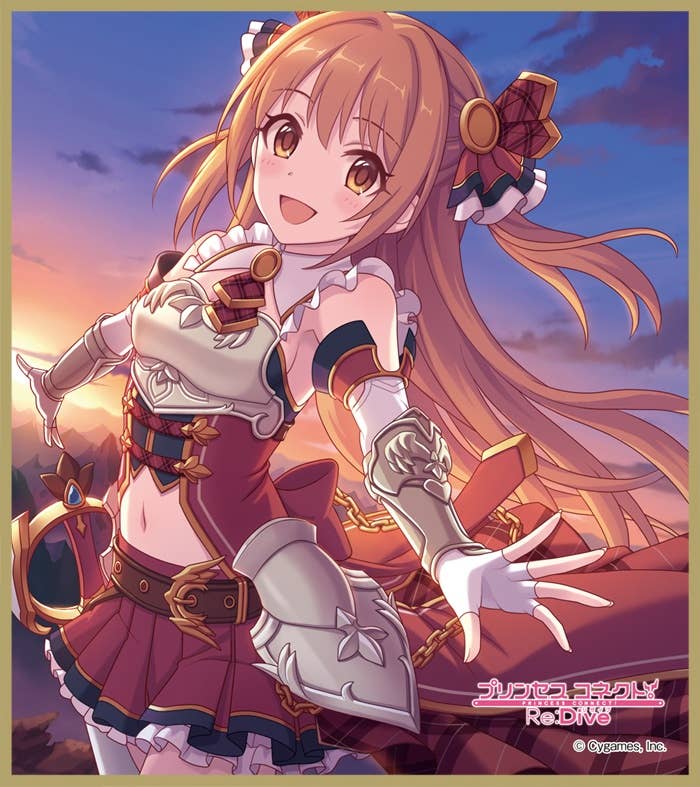 Princess Connect! Re:Dive Mini Shikishi Collection 1Box 10pcs | HLJ.com