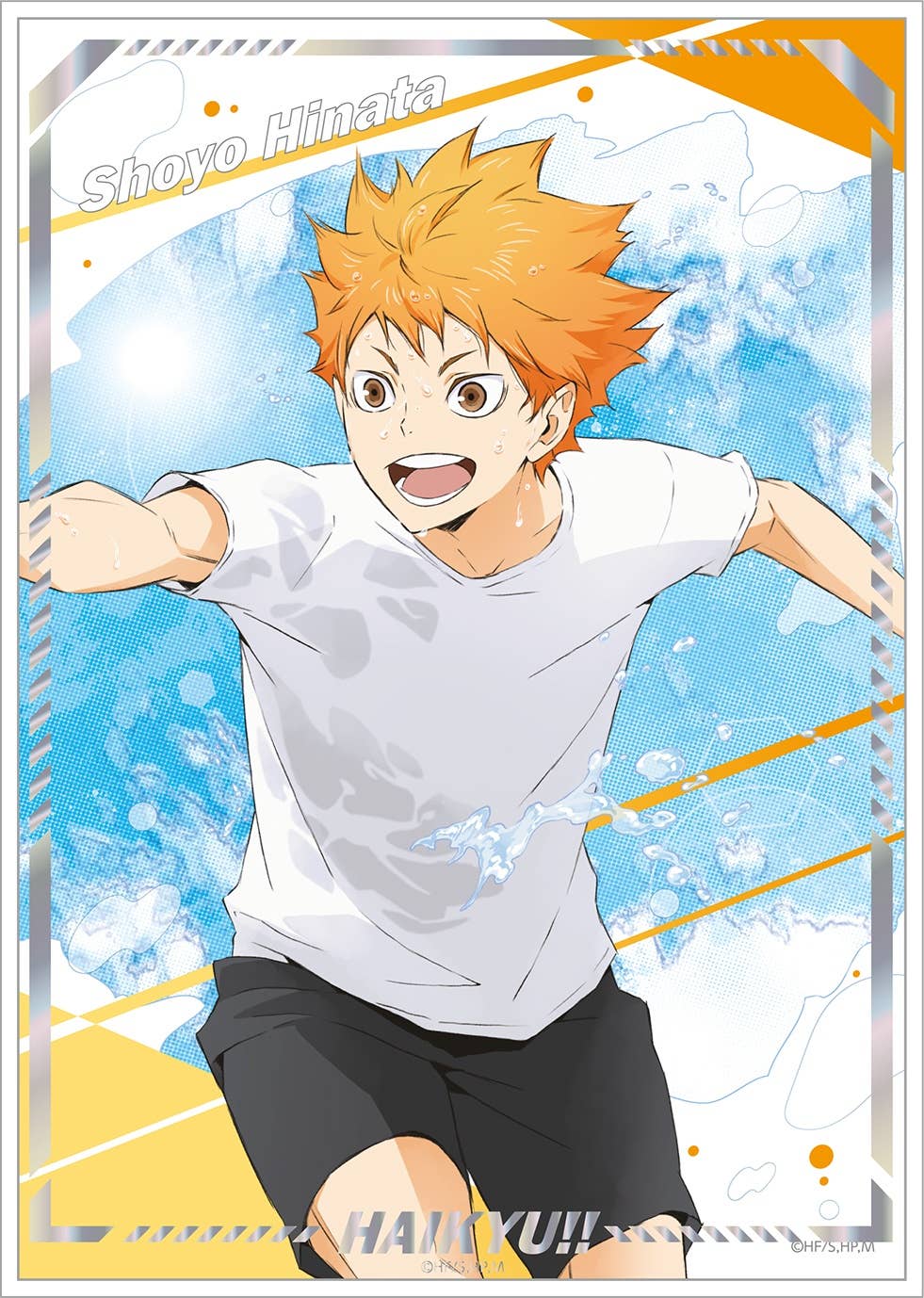 Haikyu!! TO THE TOP: Portrait Collection: 1Box (12pcs) | HLJ.com