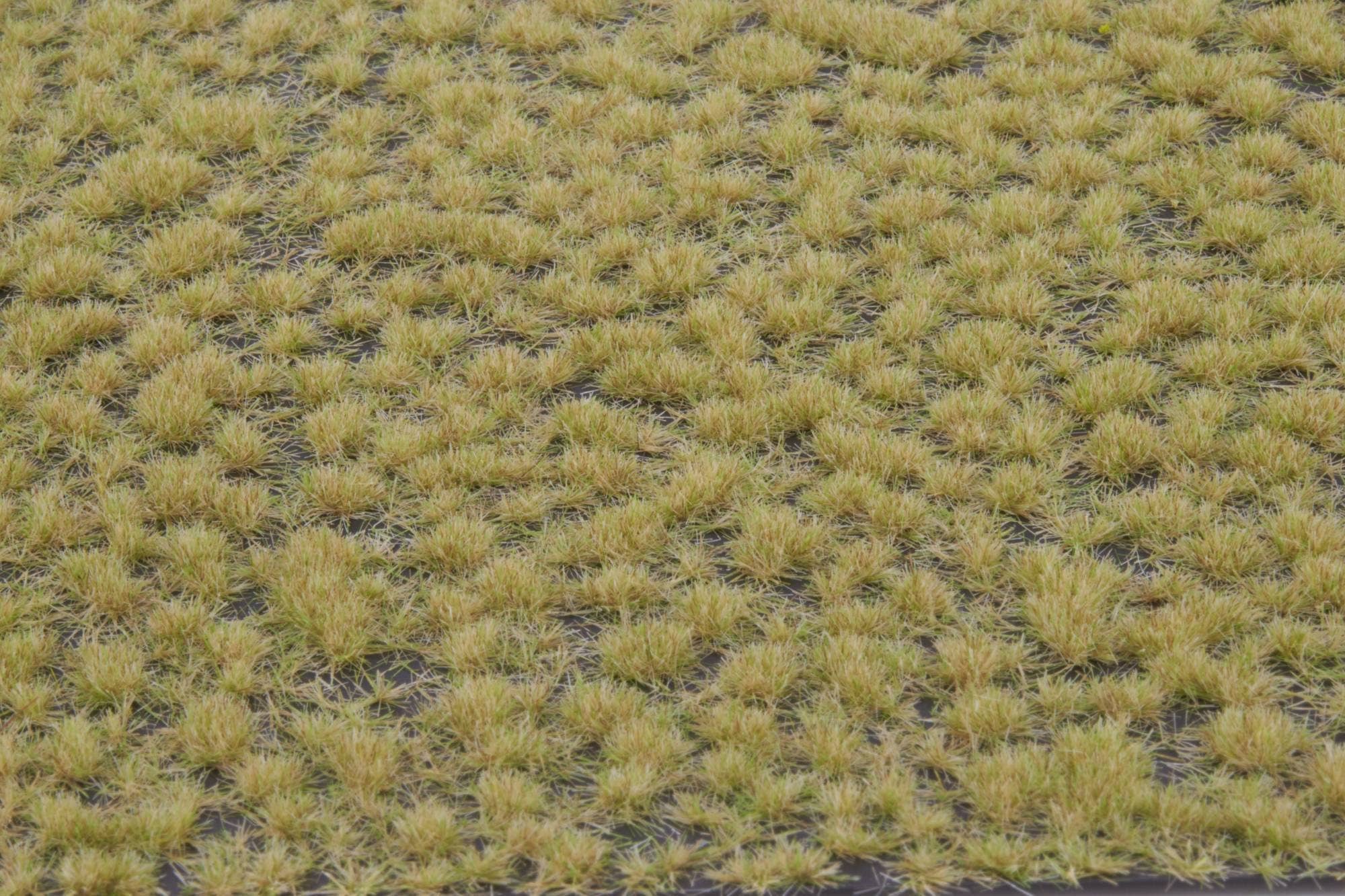 Grass Tufts Early Fall High 2mm | HLJ.com