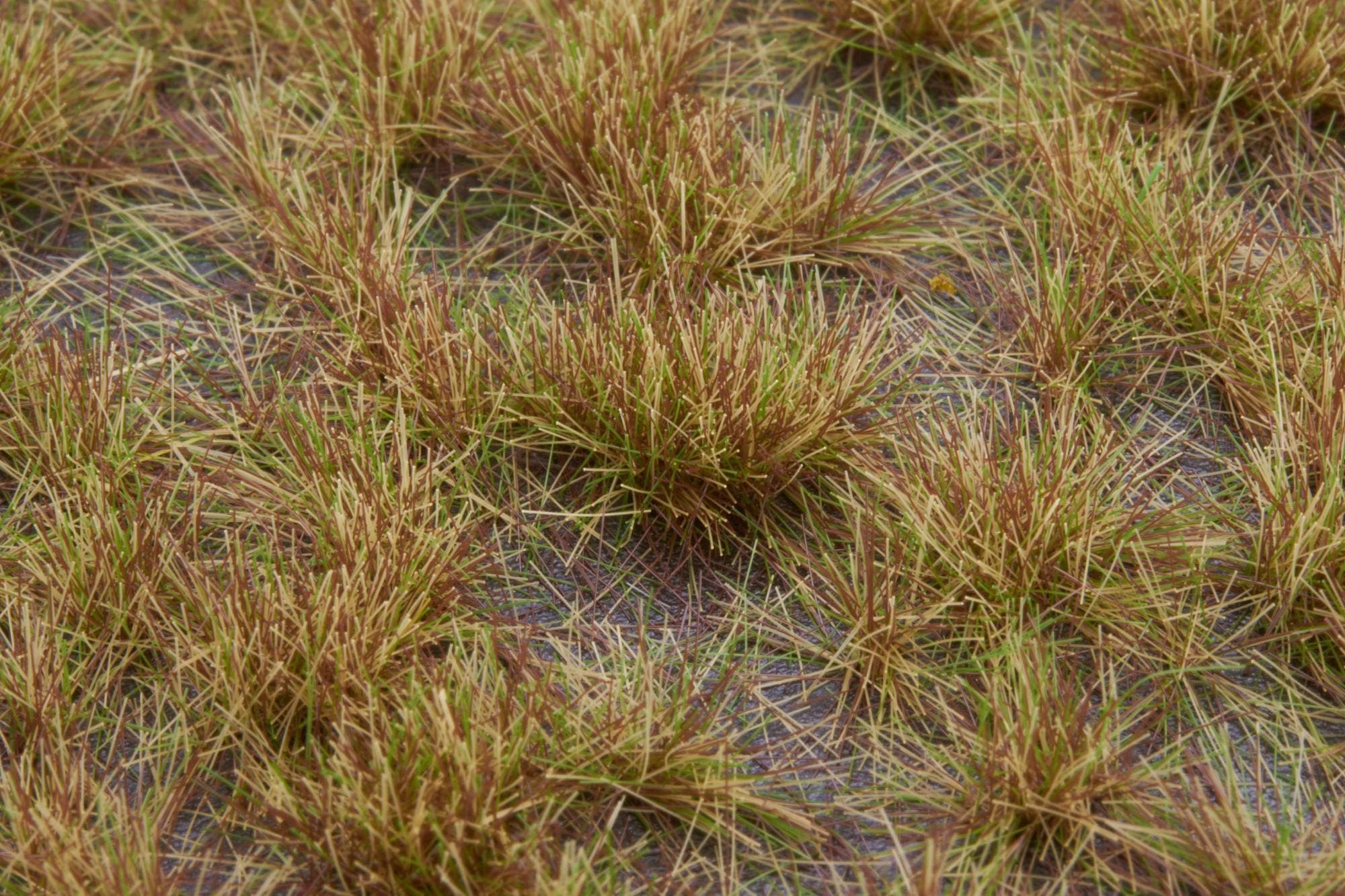 Grass Tufts Winter High 6mm | HLJ.com