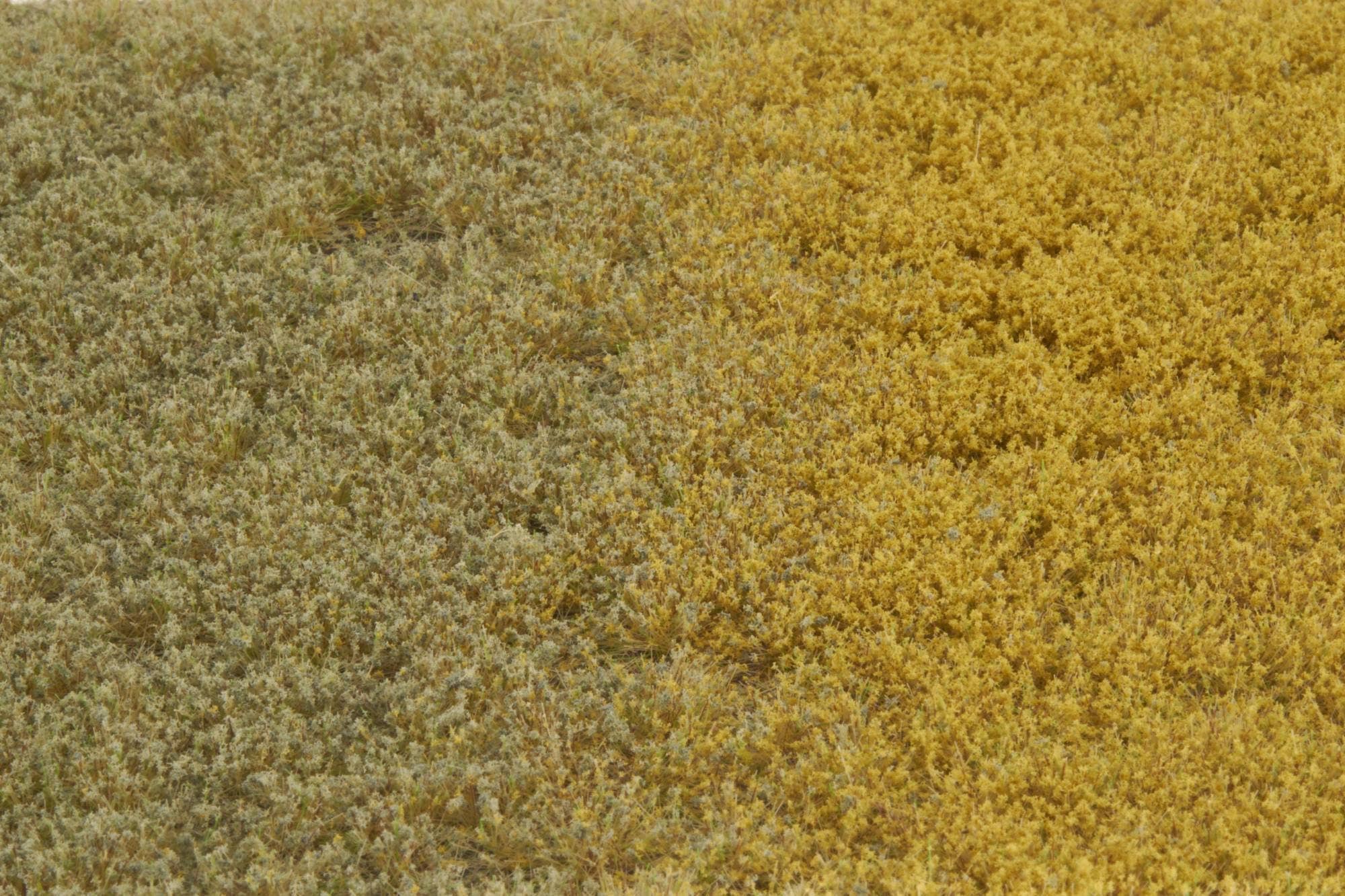 Grass Tufts (with Weeds) Early Fall High 6mm | HLJ.com