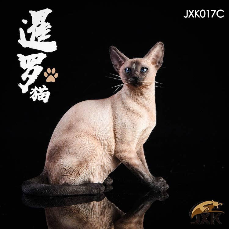 JXK Studio Siamese Cat Haunch Sitting C | HLJ.com