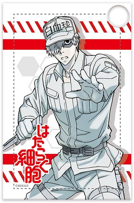 Cells at Work! Pass Case B | HLJ.com