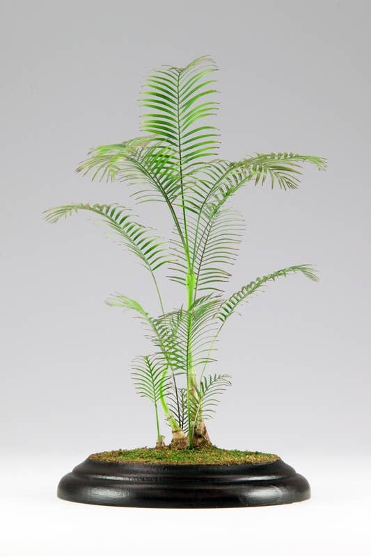 Plant Kit Series No.2 Areca Palm Stem Set | HLJ.com