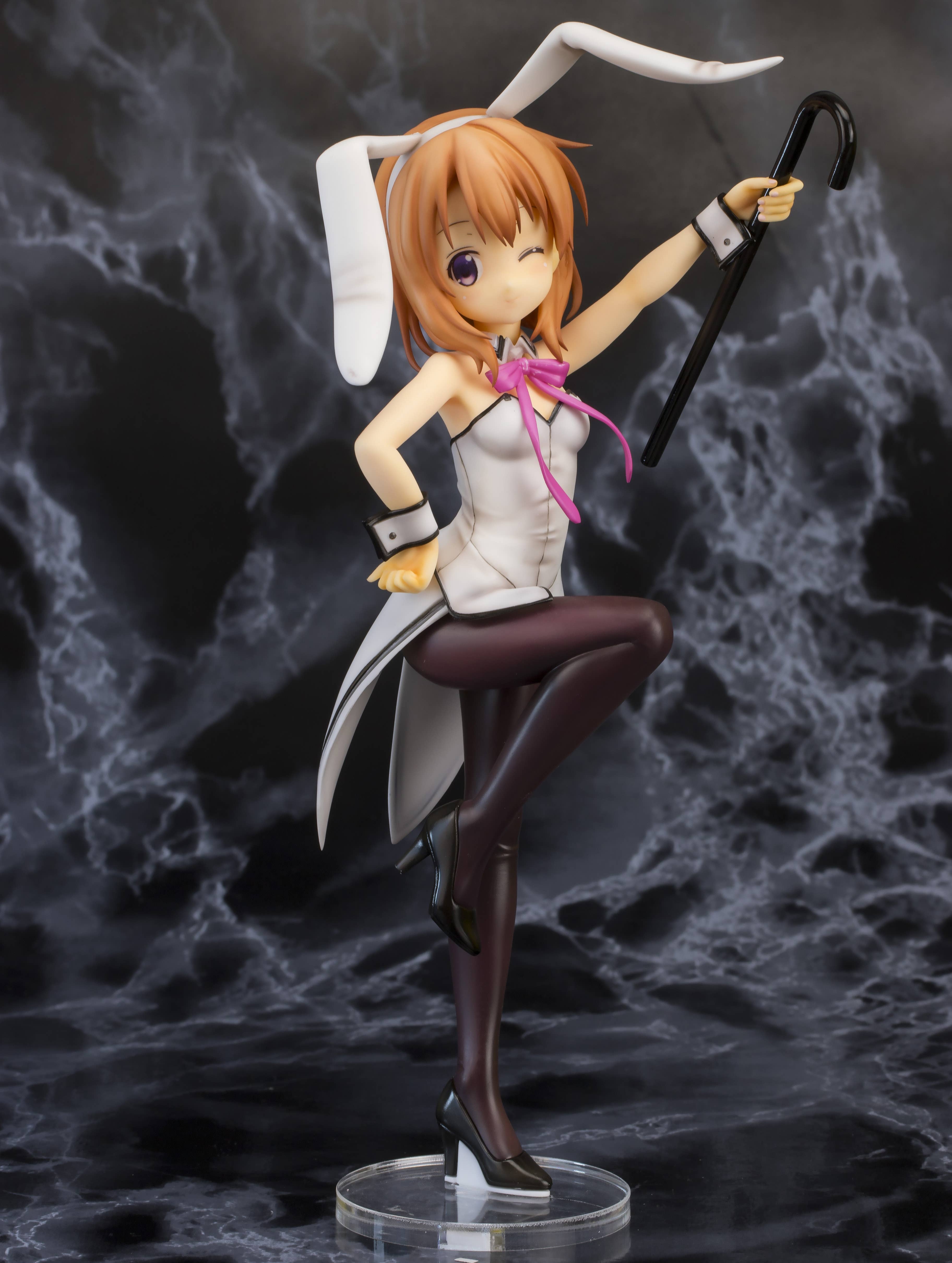 Is the Order a Rabbit??: Cocoa | HLJ.com