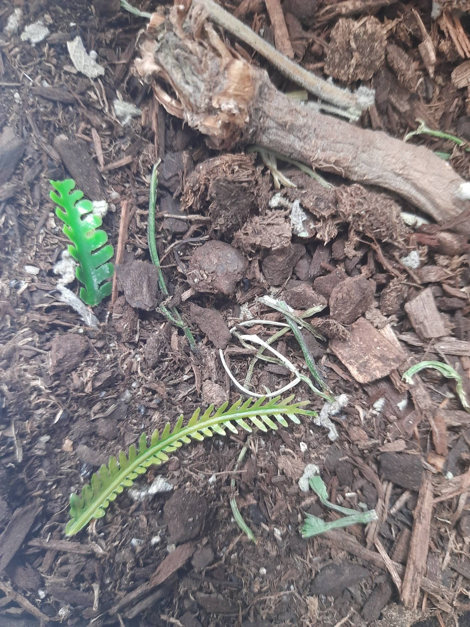 Ground Base Material Set Forest Ground | HLJ.com