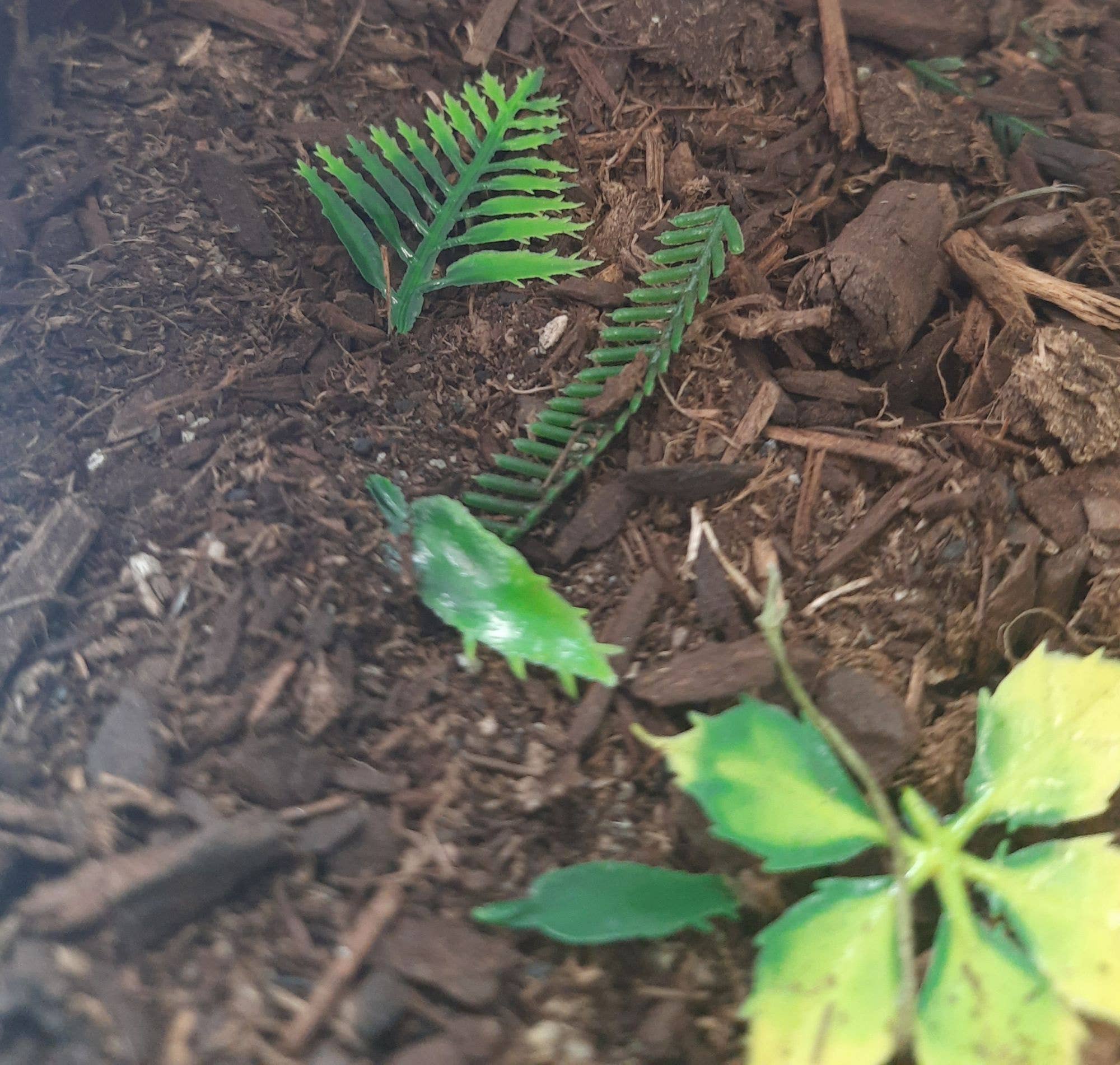 Ground Base Material Set Jungle Ground | HLJ.com