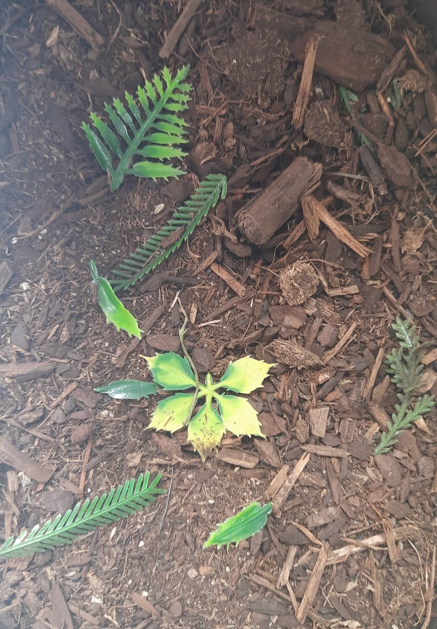 Ground Base Material Set Jungle Ground | HLJ.com