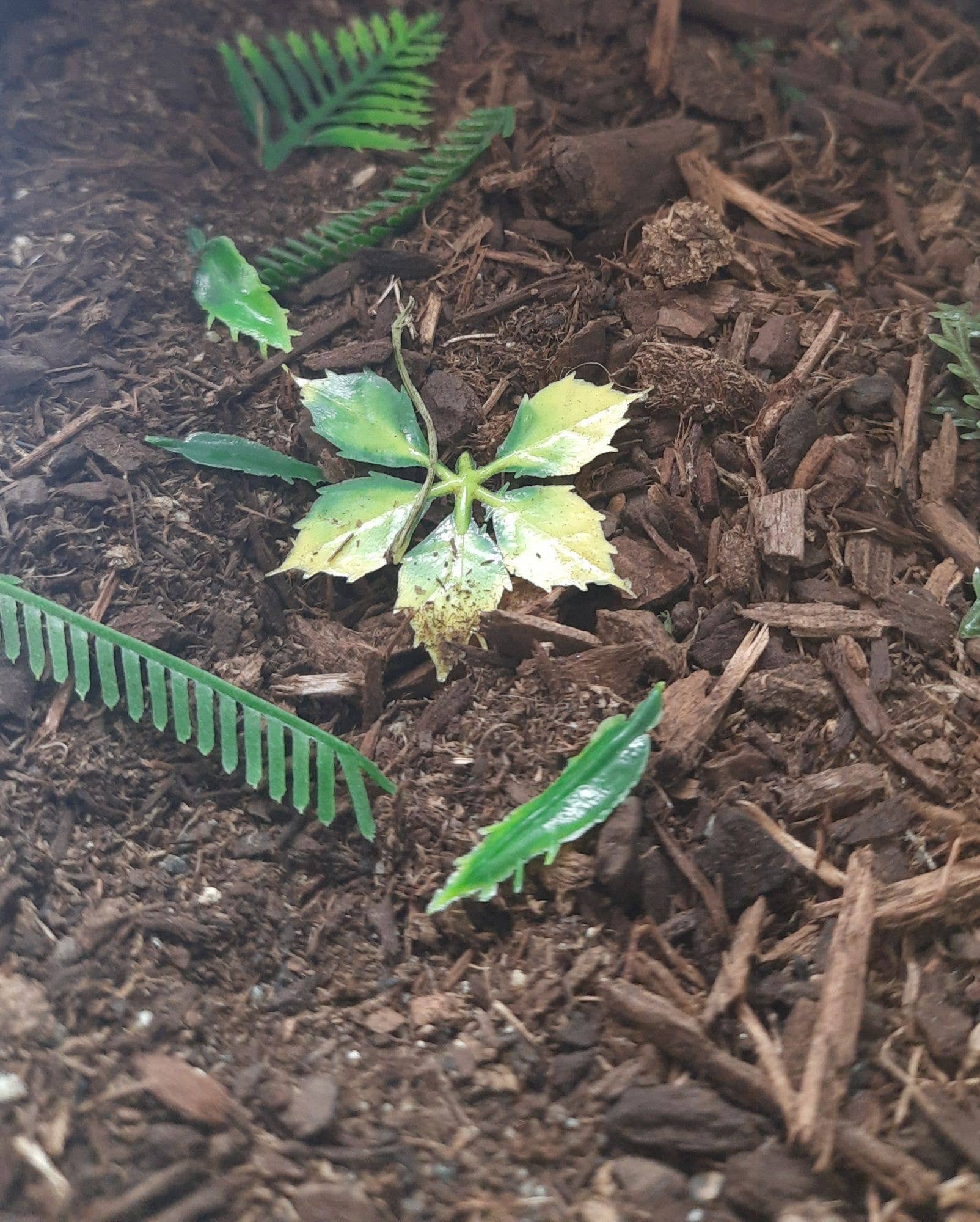 Ground Base Material Set Jungle Ground | HLJ.com