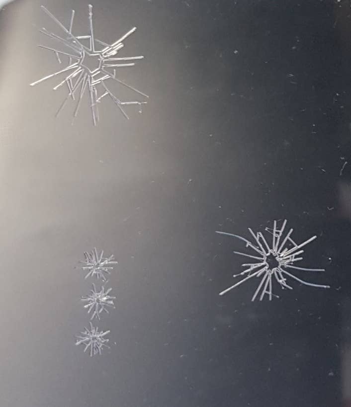 Gunshot Window (A5-size) | HLJ.com