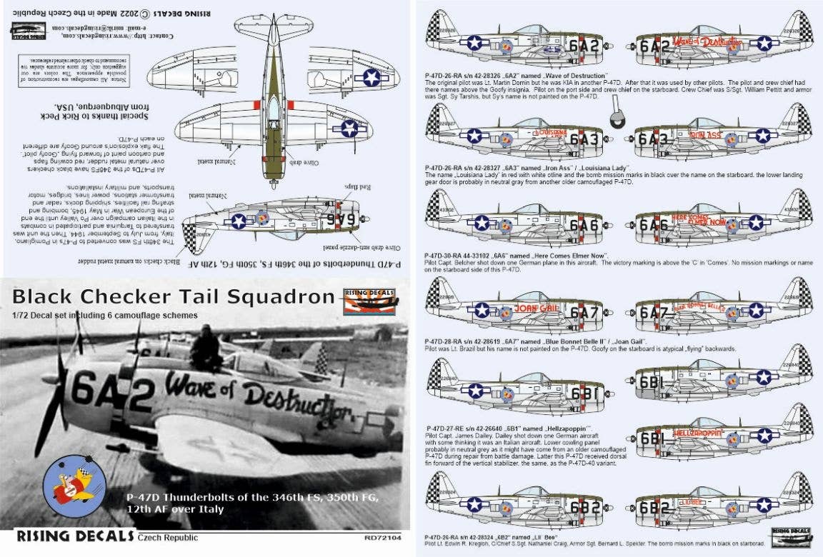 Black Checker Tail Squadron 346th FS over Italy | HLJ.com