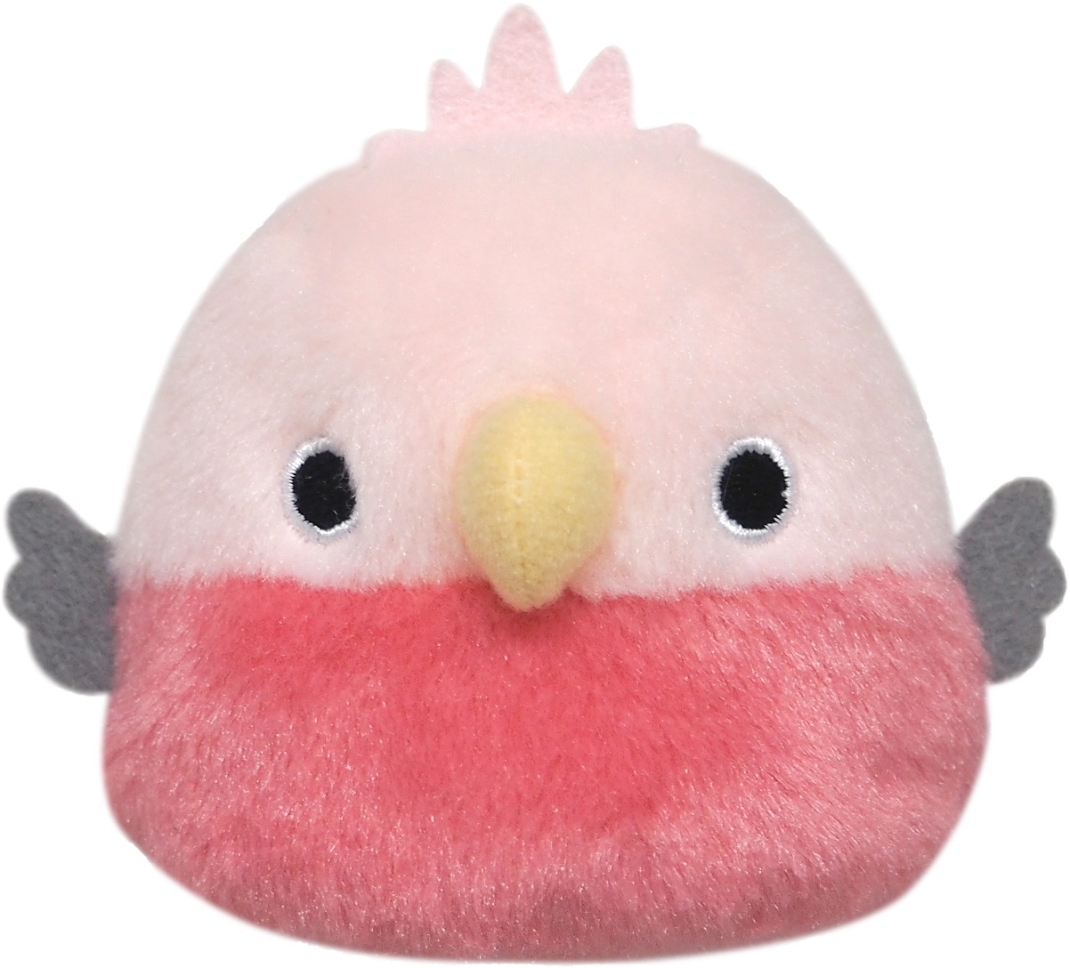 Toridango Galah