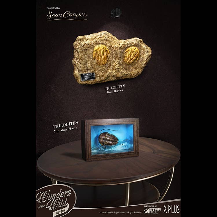 Wonders of the Wild Trilobites Miniature Frame & Trilobites Fossil ...