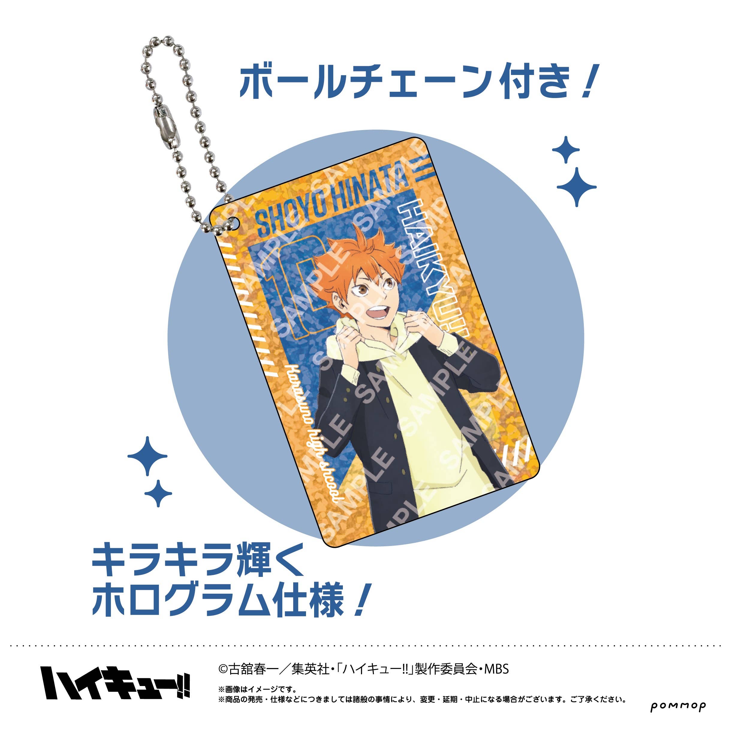 Haikyu!!: Visual Card Keychain Collection 1Box 10pcs | HLJ.com