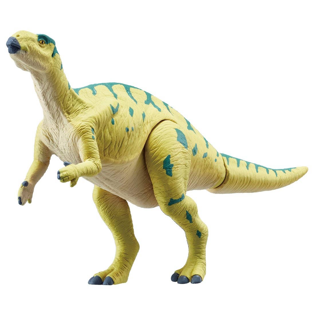 Ania Fukuisaurus | HLJ.com