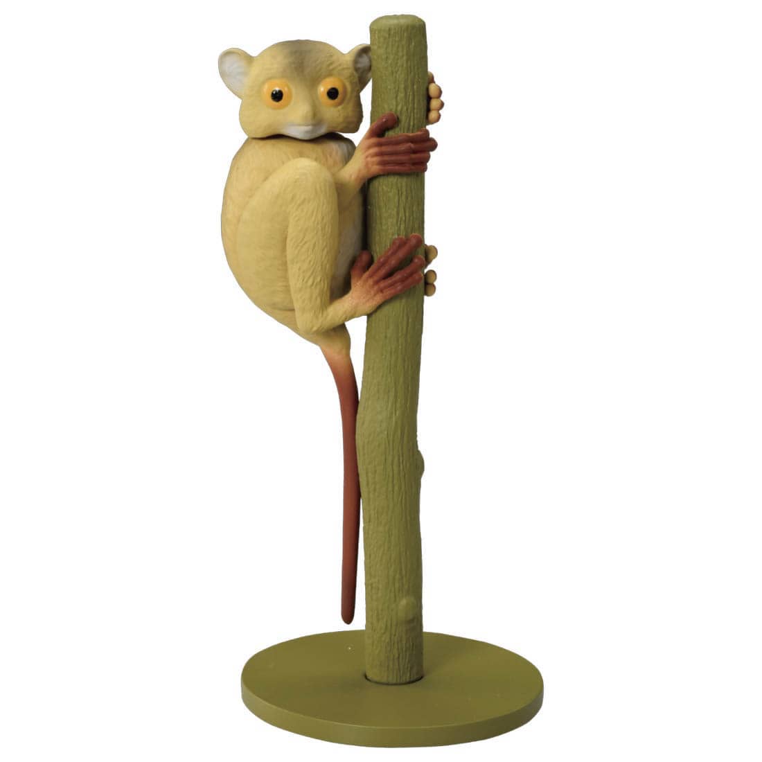 Ania AS-27 Tarsier (West Tarsier) | HLJ.com