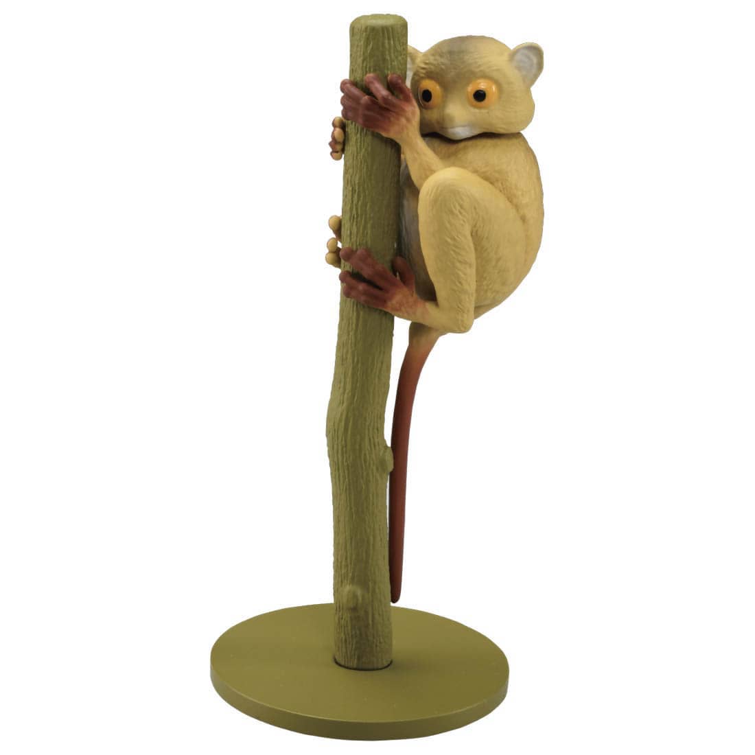 Ania AS-27 Tarsier (West Tarsier) | HLJ.com