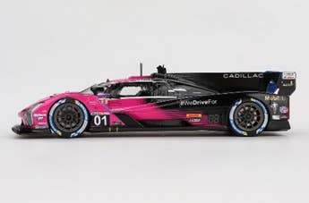 Cadillac V Series. R IMSA Petit Le Mans 2024 Winner #01 Cadillac Racing ...