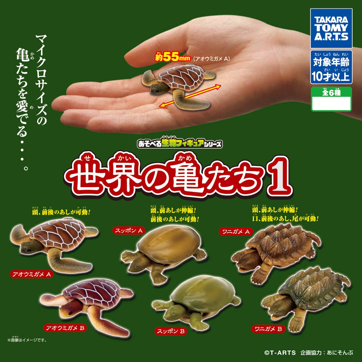 Playable Biological Figure Series Turtles of the World 1: 1Box (8pcs ...