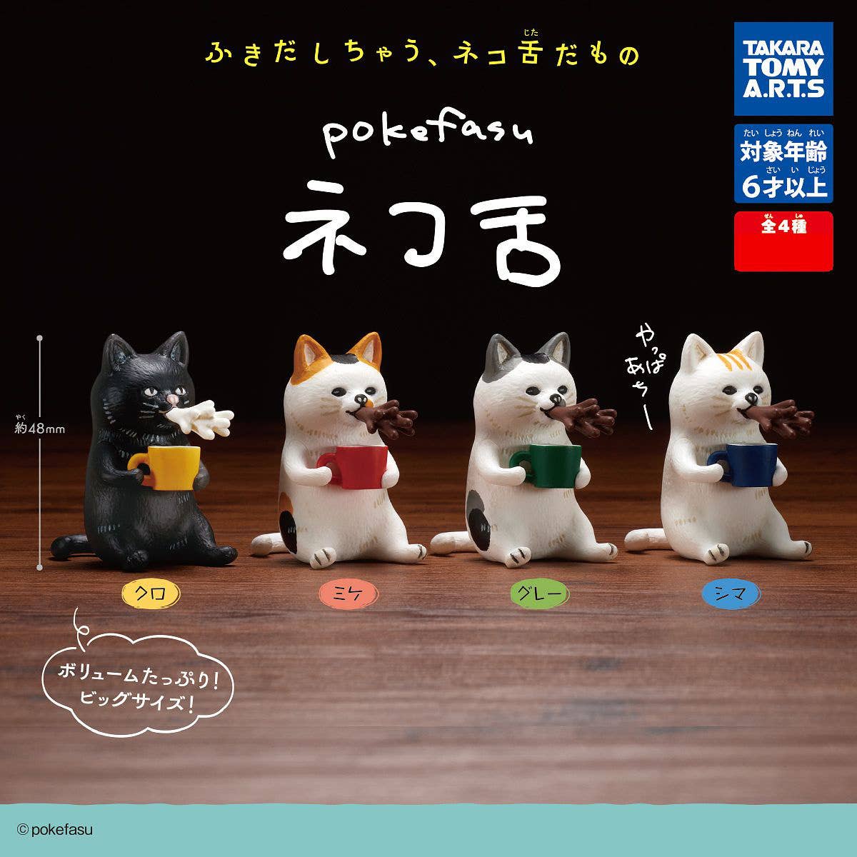 pokefasu Nekojita 1Box 10pcs | HLJ.com
