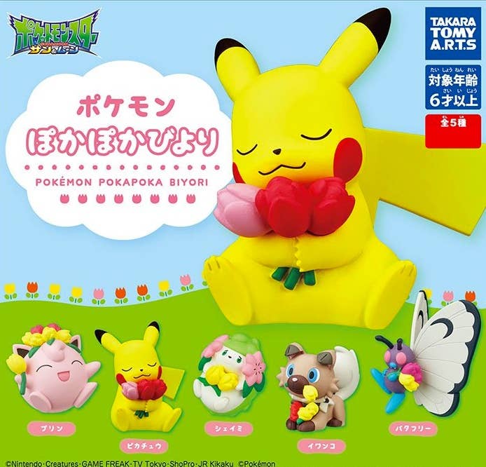 Pokemon: Poka Poka Biyori: 1Box (10pcs) | HLJ.com