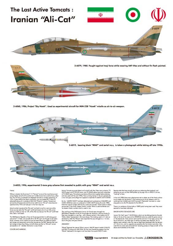 The Last Active Tomcats: Iranian "Ali-Cat" for Tamiya | HLJ.com