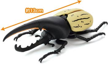 Modeling Beetles: 1Box (8pcs) | HLJ.com
