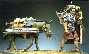 The Marius I Mule (AD 125) | HLJ.com