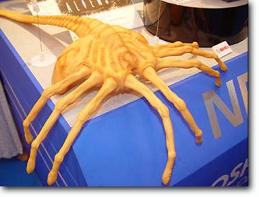 Face Hugger Painted Kit | HLJ.com