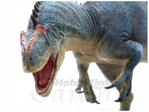 Allosaurus Desktop Model | HLJ.com
