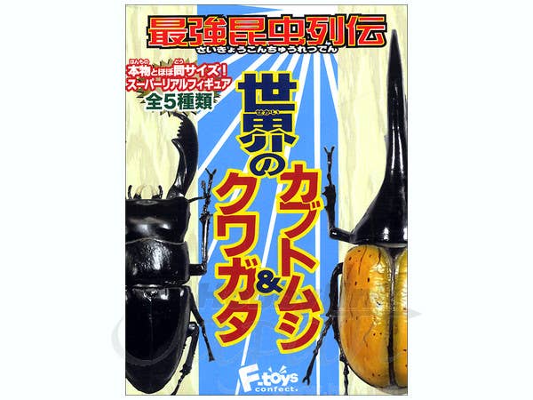 The World's Strongest Insects Kabutomushi & Kuwagata: 1Box (10pcs ...