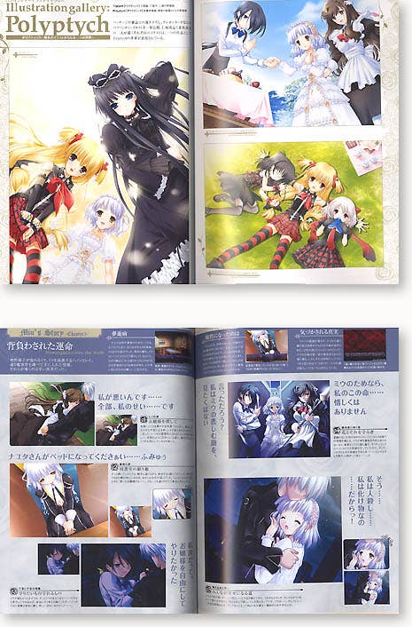 Triptych Visual Fan Book | HLJ.com