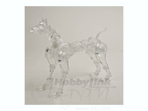 Obitsu Body The Dog Type A (Clear) | HLJ.com
