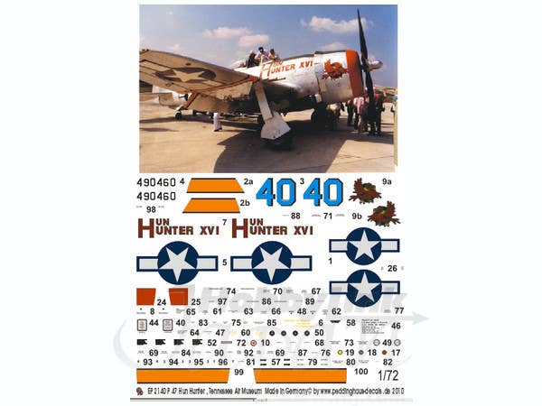 P-47 Hun Hunter XVI, Tennessee Air Museum | HLJ.com