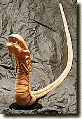 Chest Burster (from Alien; Completed) | HLJ.com